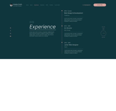 Experience - CV Portfolio (Flexbox) | Elementor Kit Library