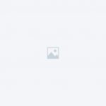 Home - Local Services Wireframe 3 (Flexbox) | Elementor Kit Library