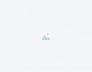 Gallery - Local Services Wireframe 3 (Flexbox) | Elementor Kit Library