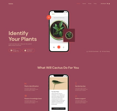 Home - App & SaaS (Flexbox) | Elementor Kit Library